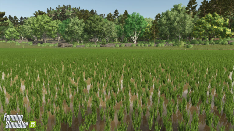 New Crop: Rice & Long Grain Rice (Preview) – FS25.net