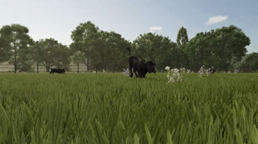 Baby Animals, Variety & Dynamic Pastures Preview – FS25.net