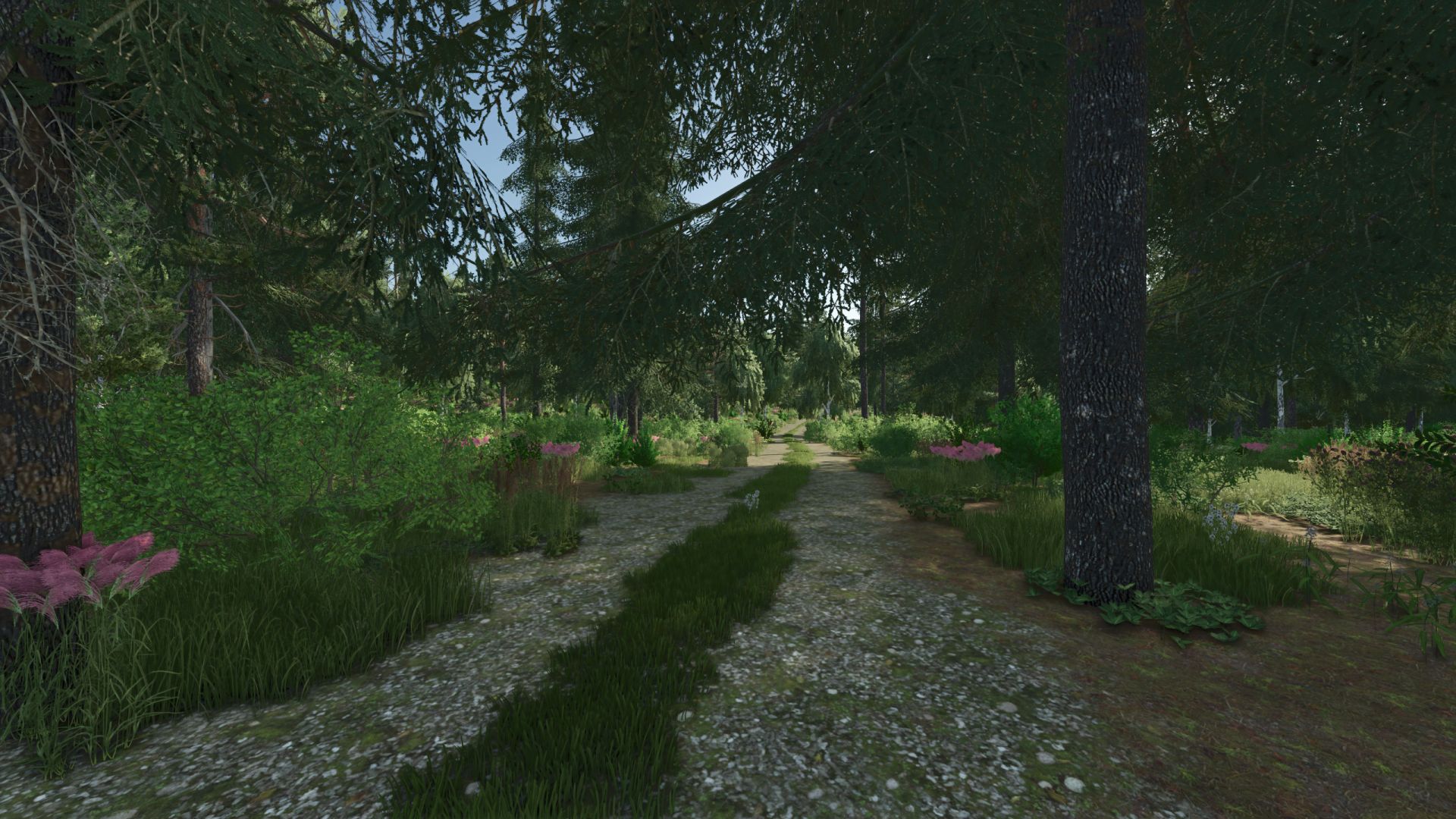 Forest Valley V1.0.2 – FS25.net