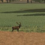 More Wild Animals V1.0 – FS25.net