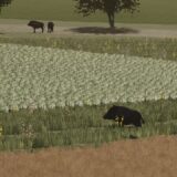 More Wild Animals V1.0 – FS25.net